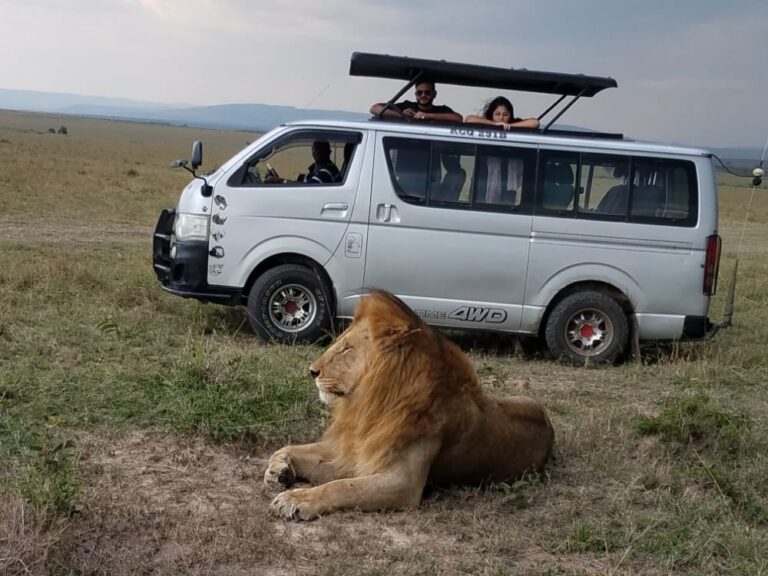 Safari Van Rentals Kenya From $150 With Driver (6-8 People)